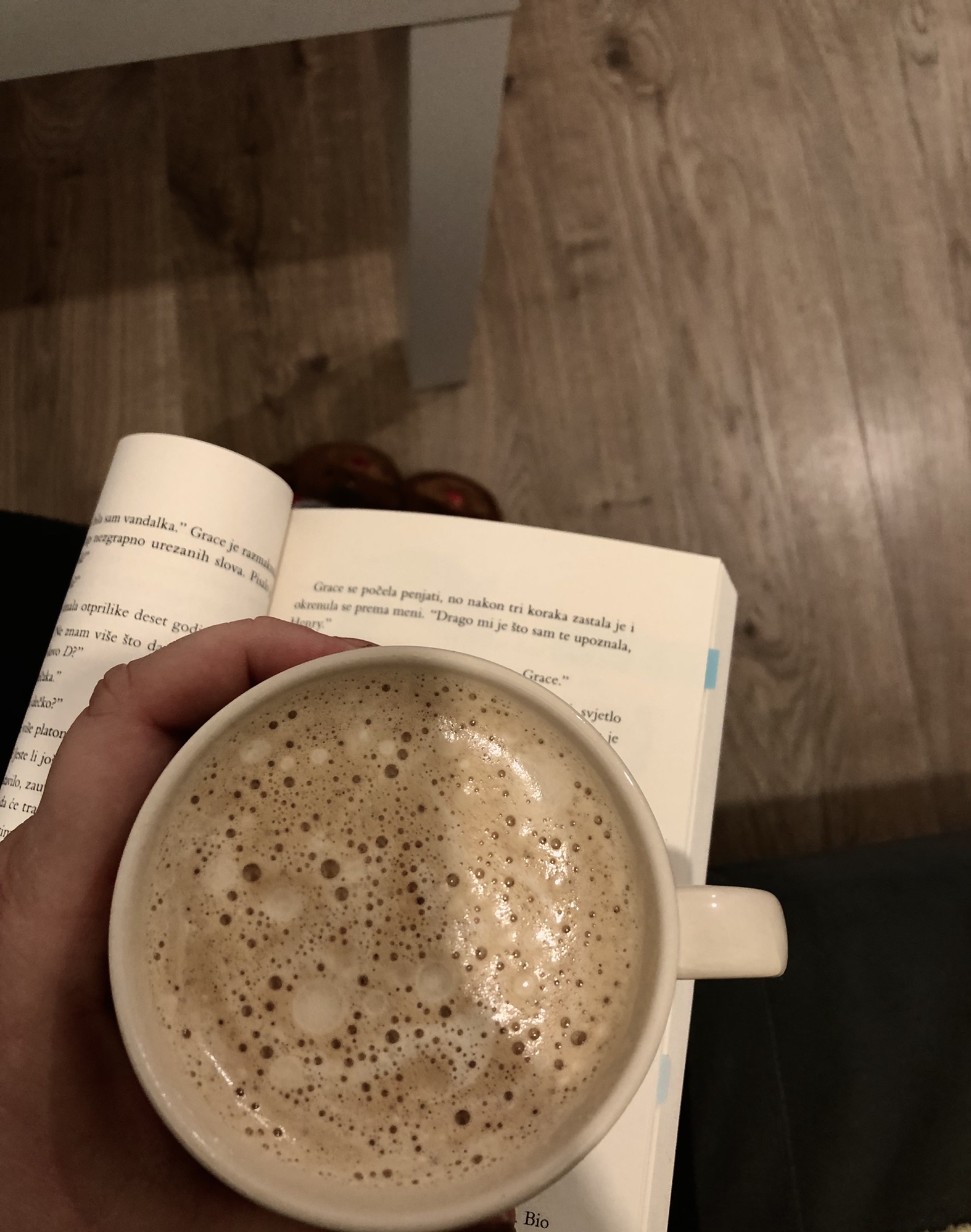 KEMIJA SRCA - KRYSTAL SUTHERLAND - IT girl diary